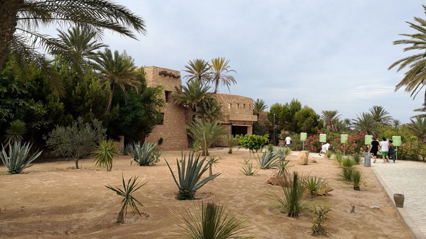 Exotika, která nezruinuje peněženku. Je Djerba ta pravá volba?